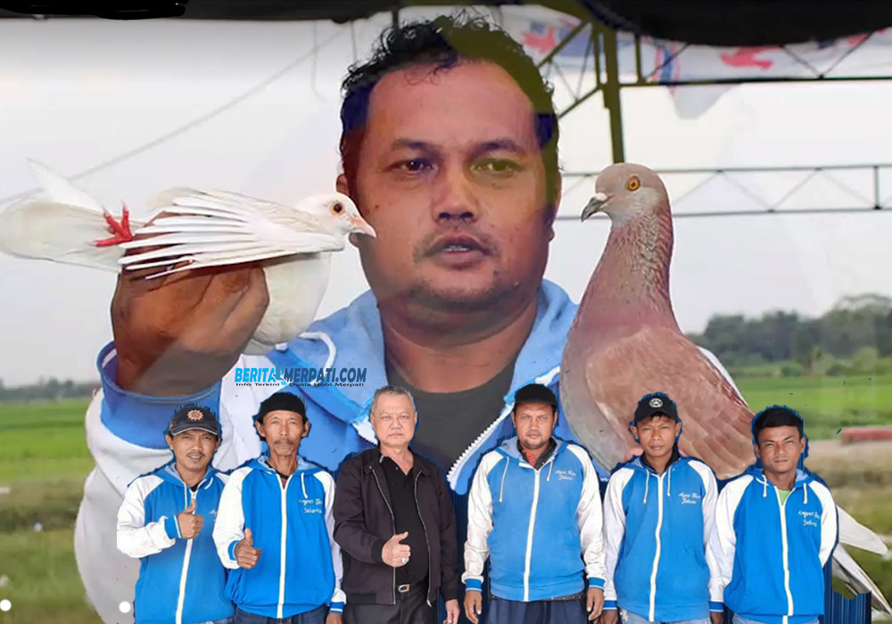 GOLDEN BOY; Masih Cucu Singa Star (SS) | Beritamerpati.com